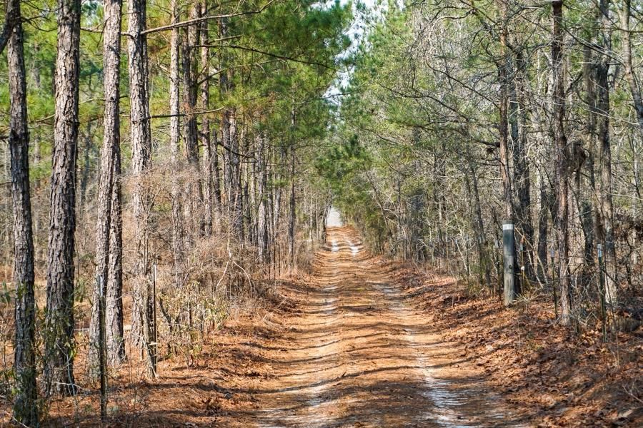 Girard, Burke County, GA Recreational Property for sale Property ID ...