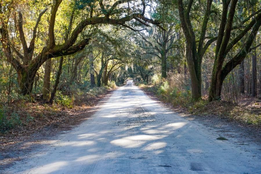 1,817 acres in Jasper, SC, 29936 | LandWatch