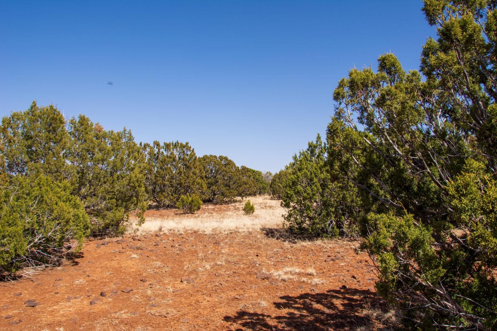 Concho, Apache County, AZ Recreational Property, Hunting Property ...