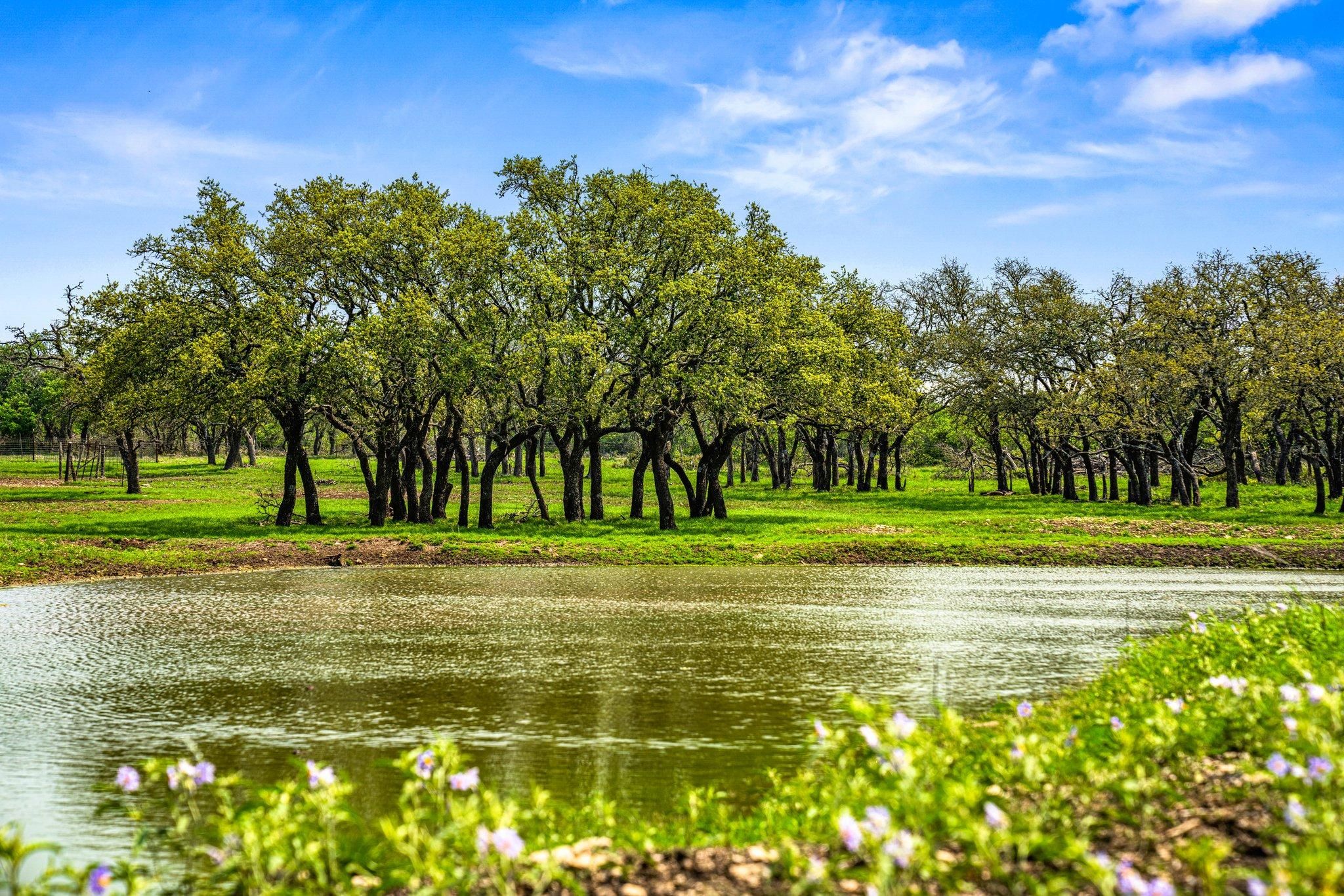 4163 Reservation Rd, Harper, TX 78631 | LandWatch