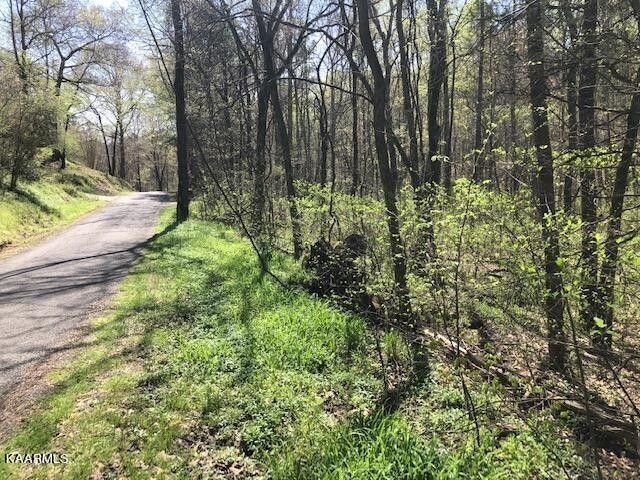 Decatur, Meigs County, TN Farms and Ranches for sale Property ID ...