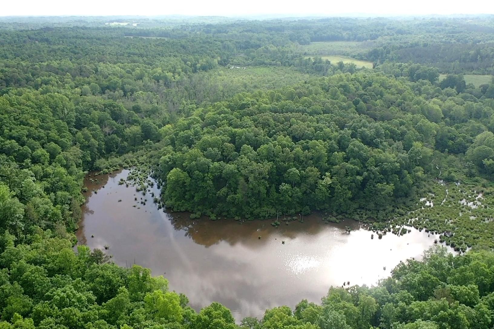 Newnam Rd, Pelham, NC 27311 | LandWatch