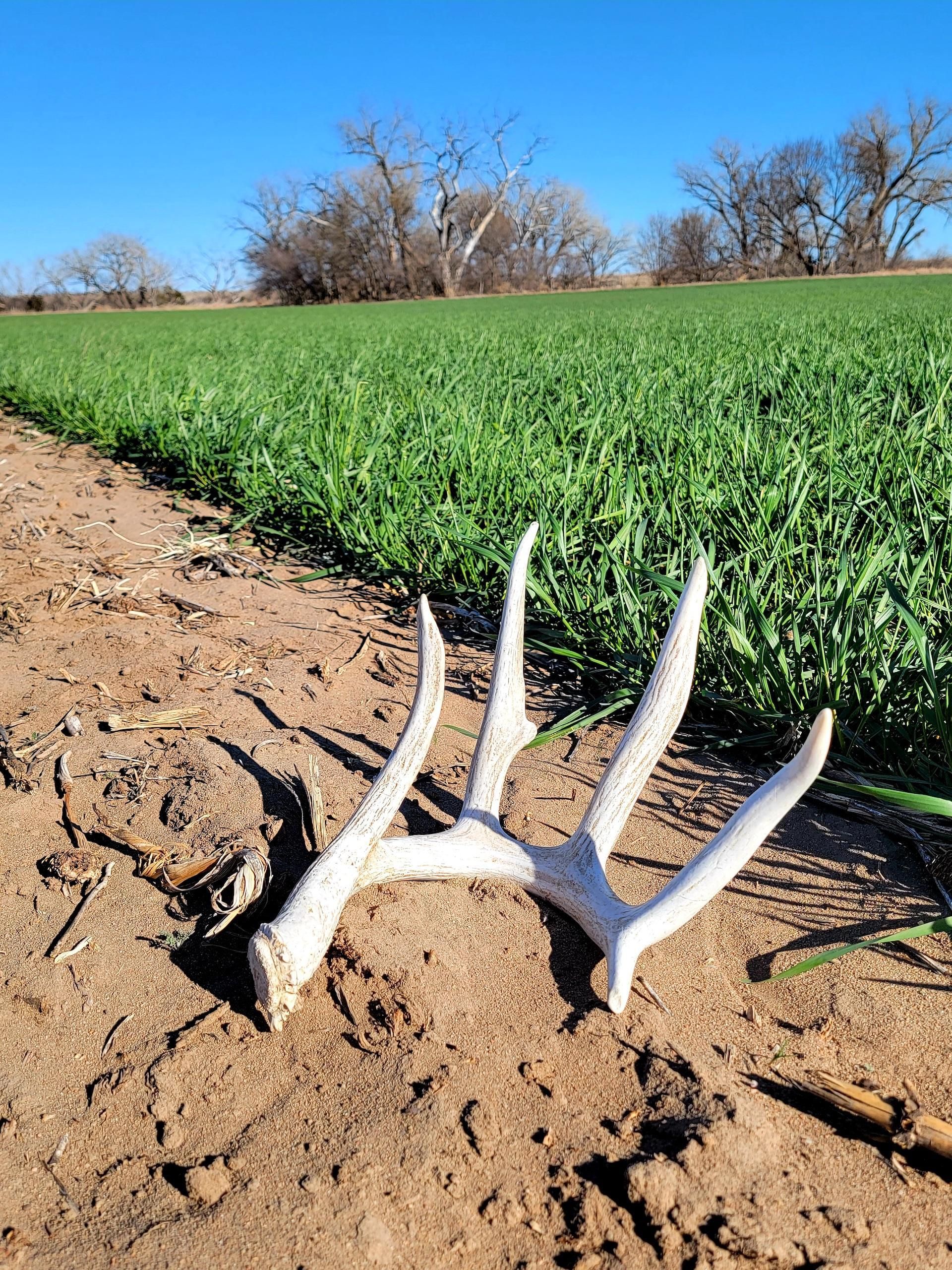 0 Terrace, Lot #WP001, Penokee, KS 67659 | LandWatch