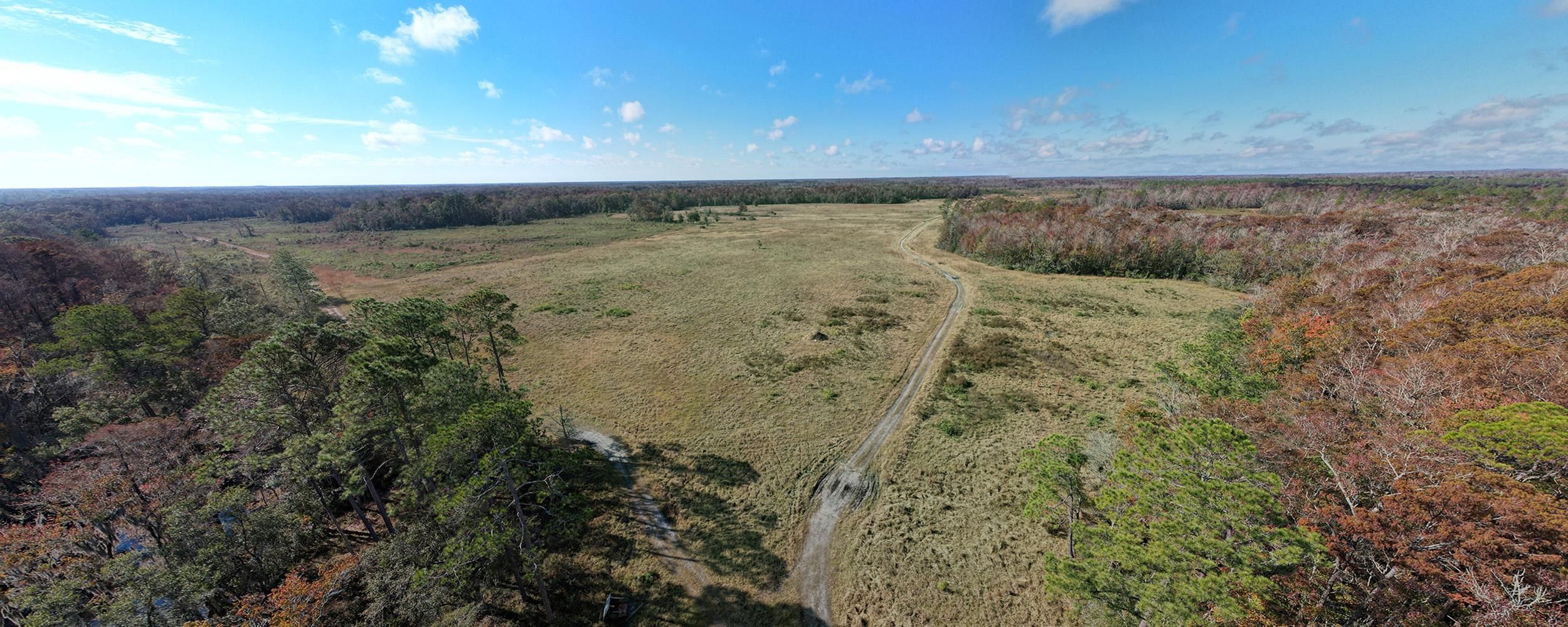 US-19 South, Tennille, FL 32356 | LandWatch