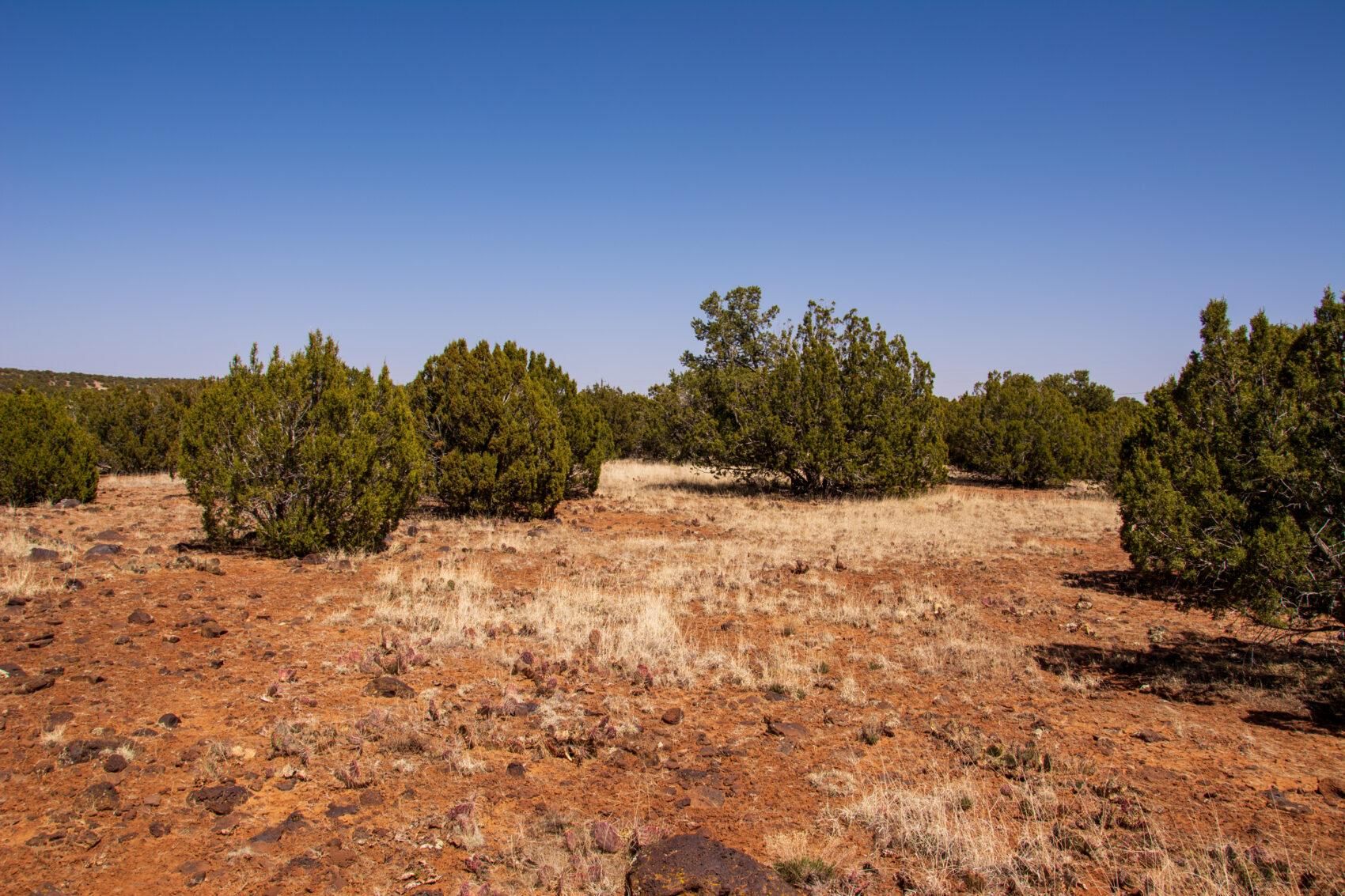 Concho, Apache County, AZ Recreational Property, Hunting Property ...