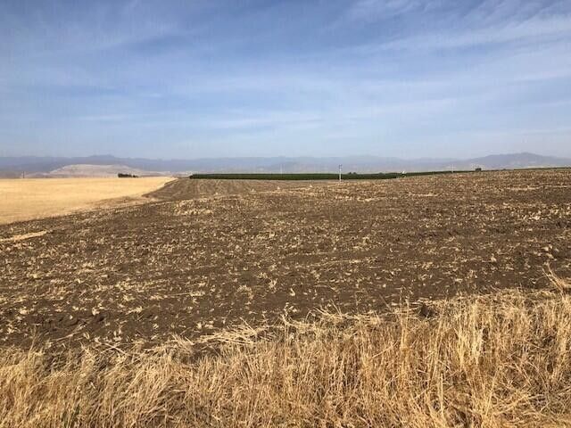 Ducor, Tulare County, CA Undeveloped Land for sale Property ID ...