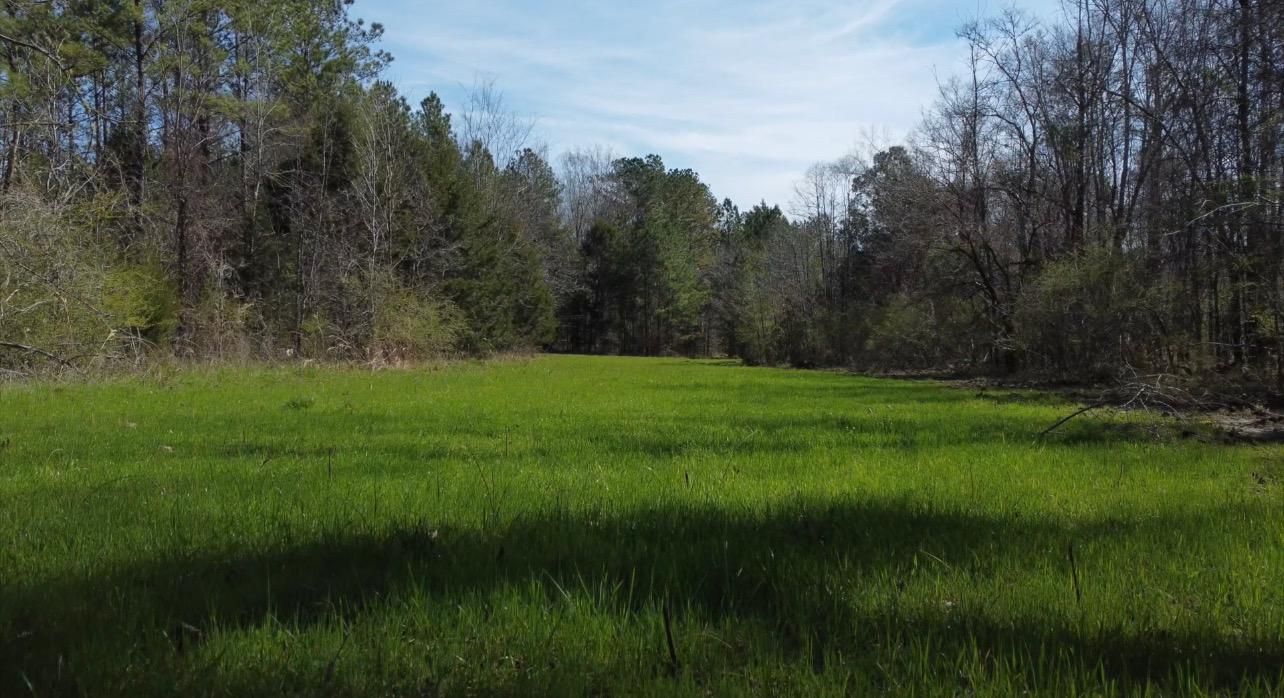 Bishop Bottom Road, Letohatchee, AL 36047 | LandWatch