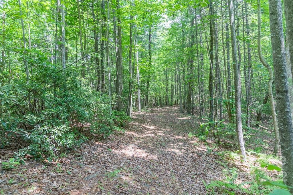 Purlear, Wilkes County, NC Undeveloped Land for sale Property ID ...