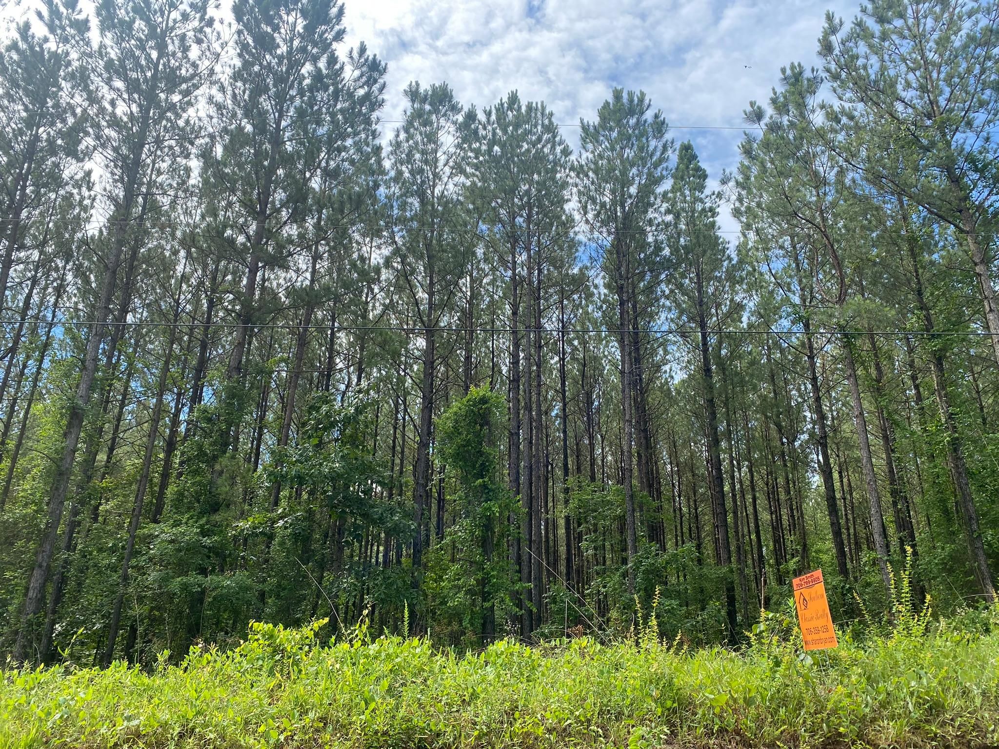 Keysville, Burke County, GA Recreational Property, Undeveloped Land ...