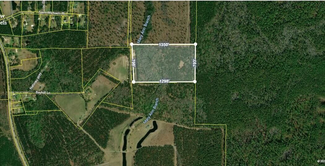Cordesville, Berkeley County, SC Undeveloped Land, Lakefront Property ...