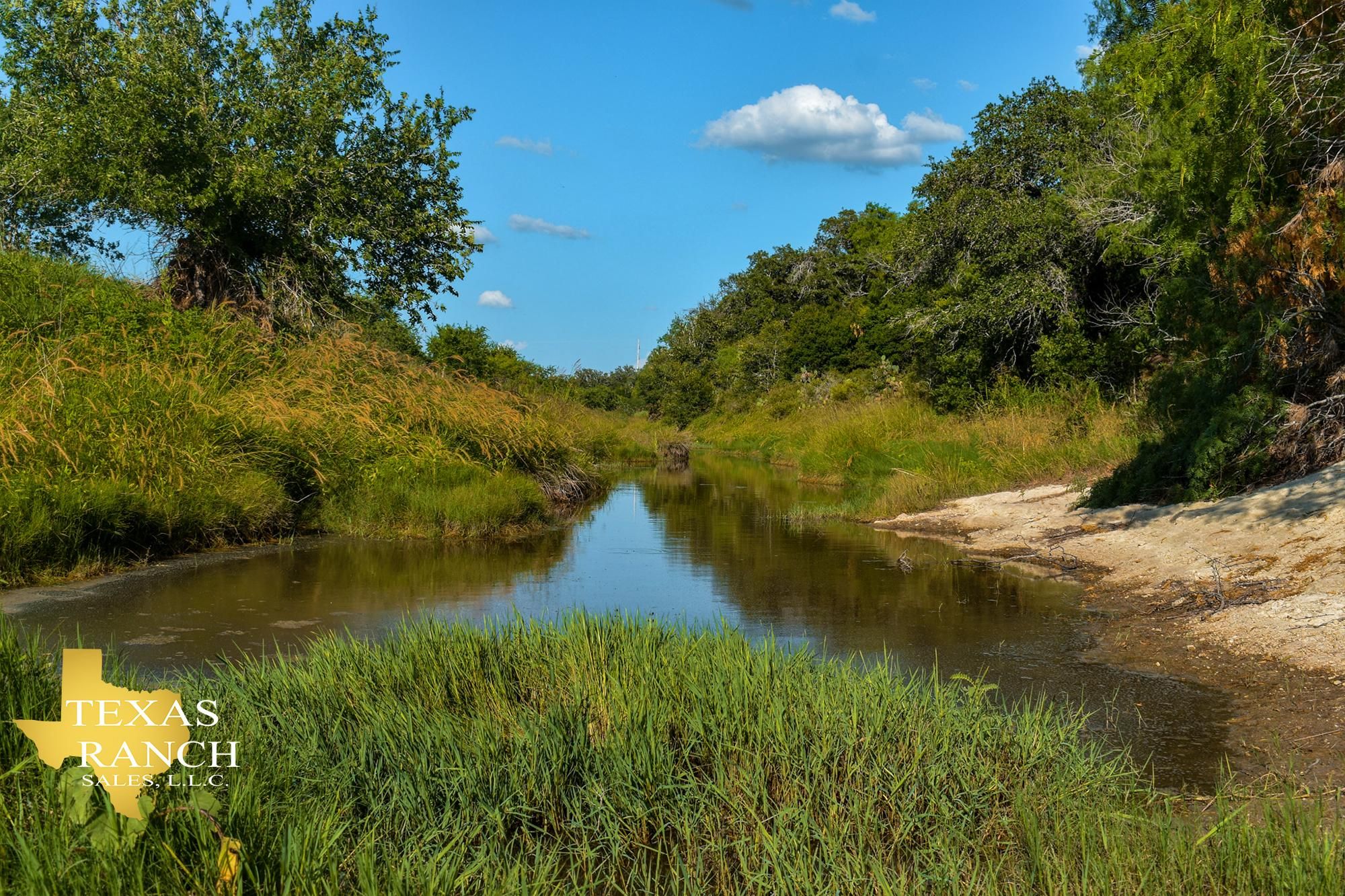 246 acres in Gillett, TX, 78116 | LandWatch