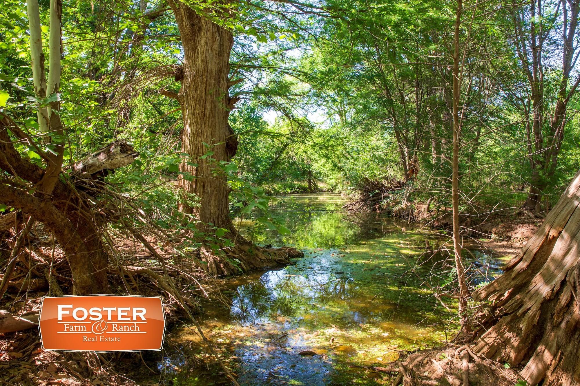 60 acres in Sabinal, TX, 78881 | LandWatch