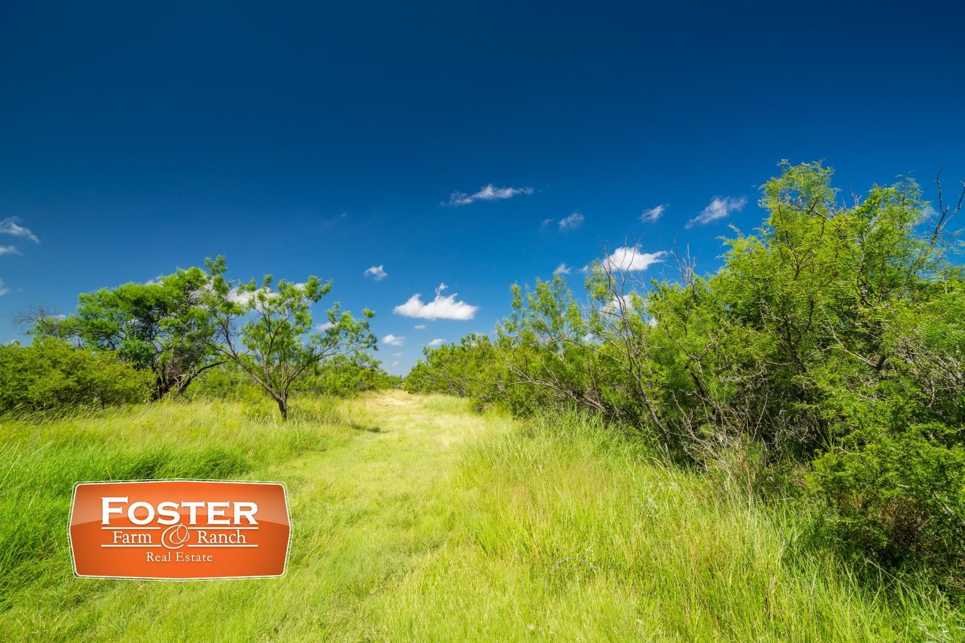 730 acres in Spofford, TX, 78832 | LandWatch