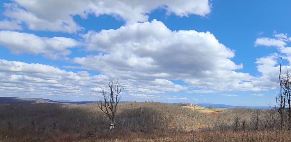 Daisy Trail Road, Cool Ridge, WV 25825 | MLS: FARLEY BRANCH FIELD AND ...