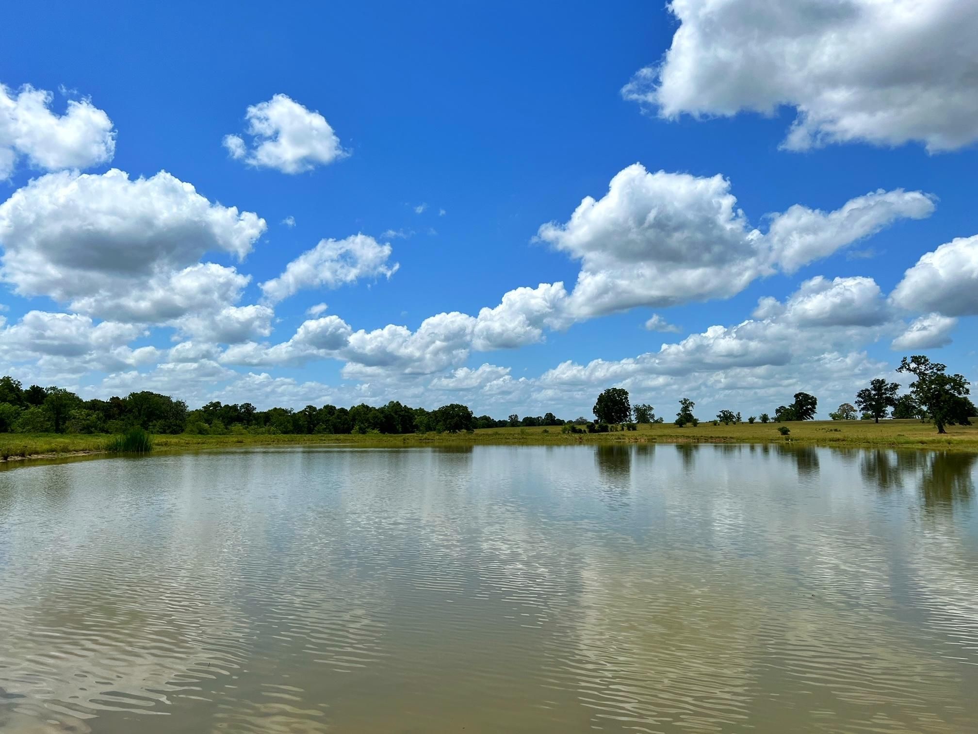 Normangee, Madison County, TX Farms and Ranches, Recreational Property ...