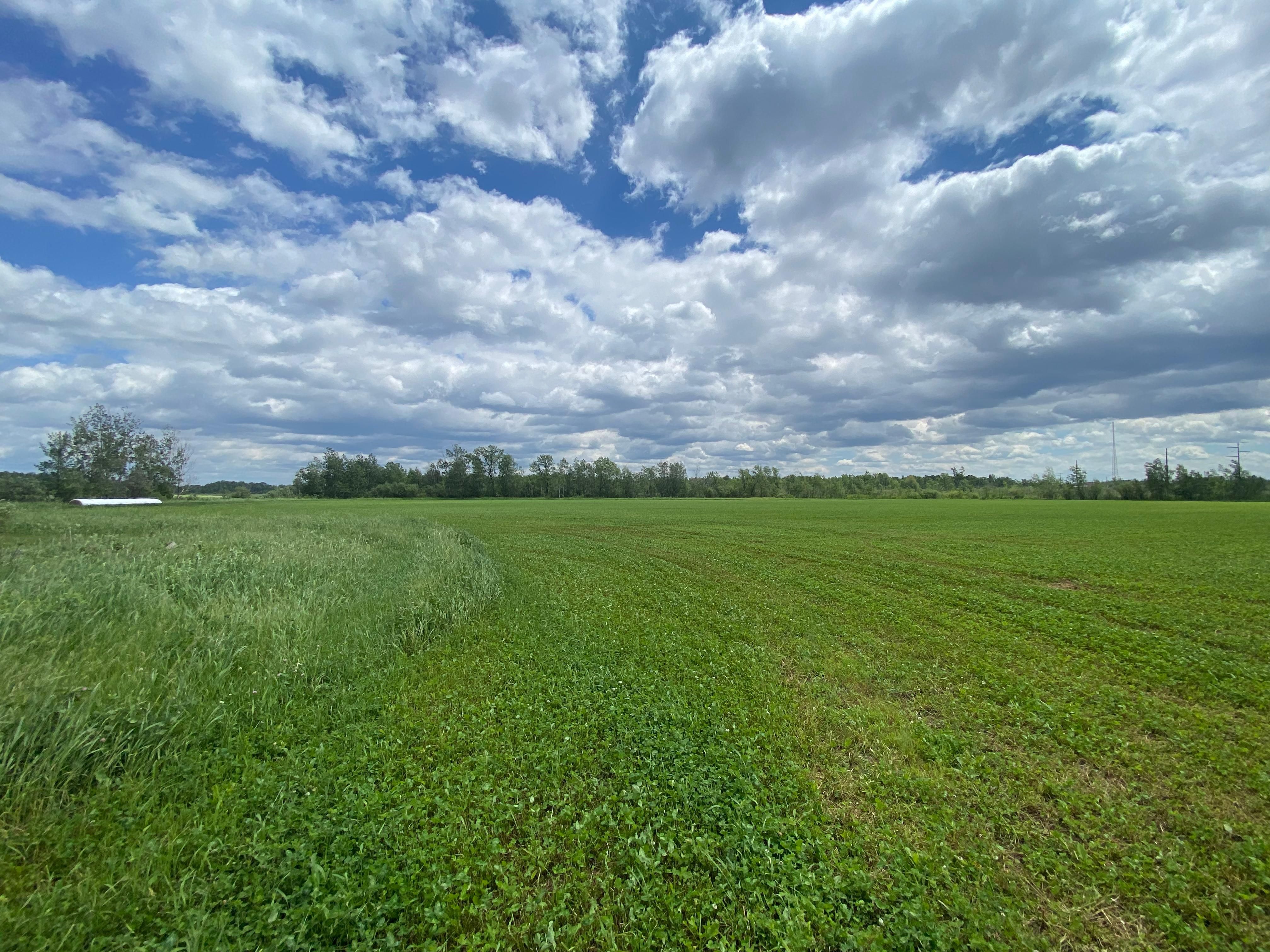 35515 310th Ave, Sheldon, WI 54766 | LandWatch