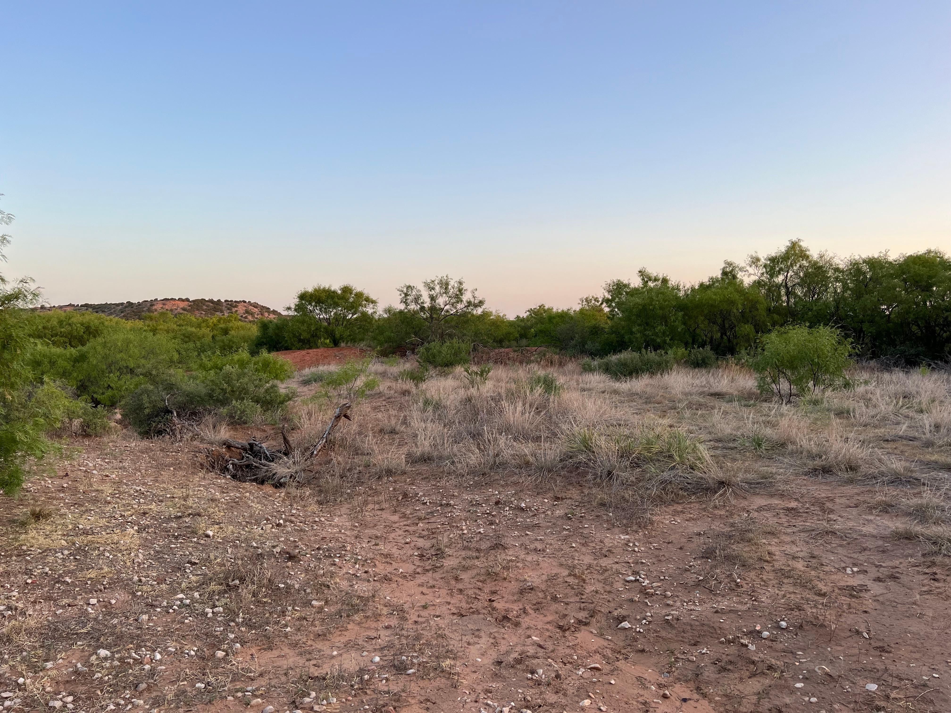 Derstine Road, Merkel, TX 79536 | MLS: 20095233 | LandWatch