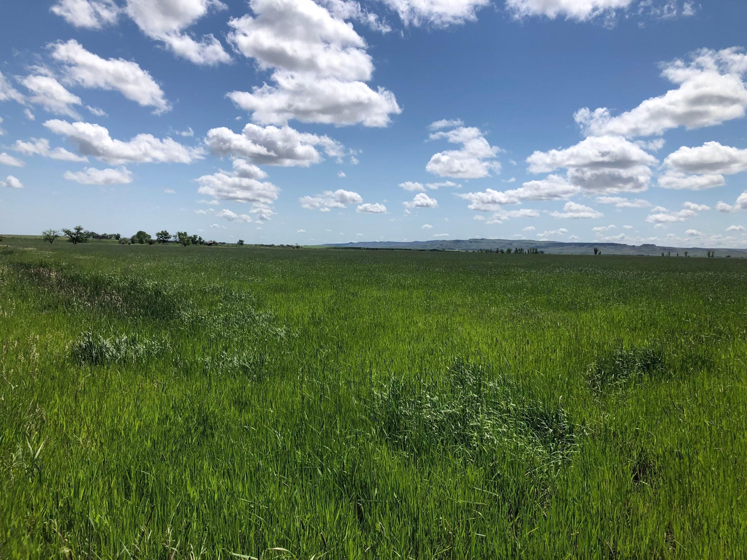 TBD Highway 2, Malta, MT 59261 | LandWatch