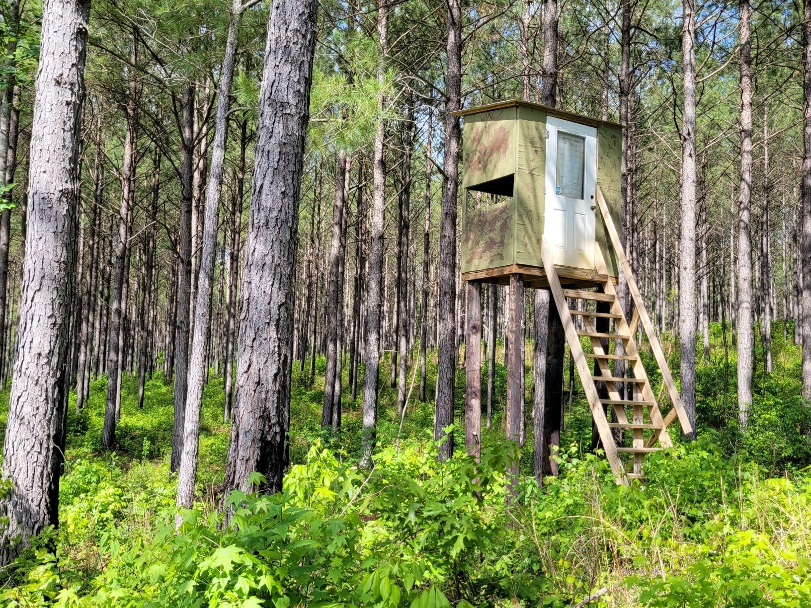 912 acres in Wadley, AL, 36276 | LandWatch