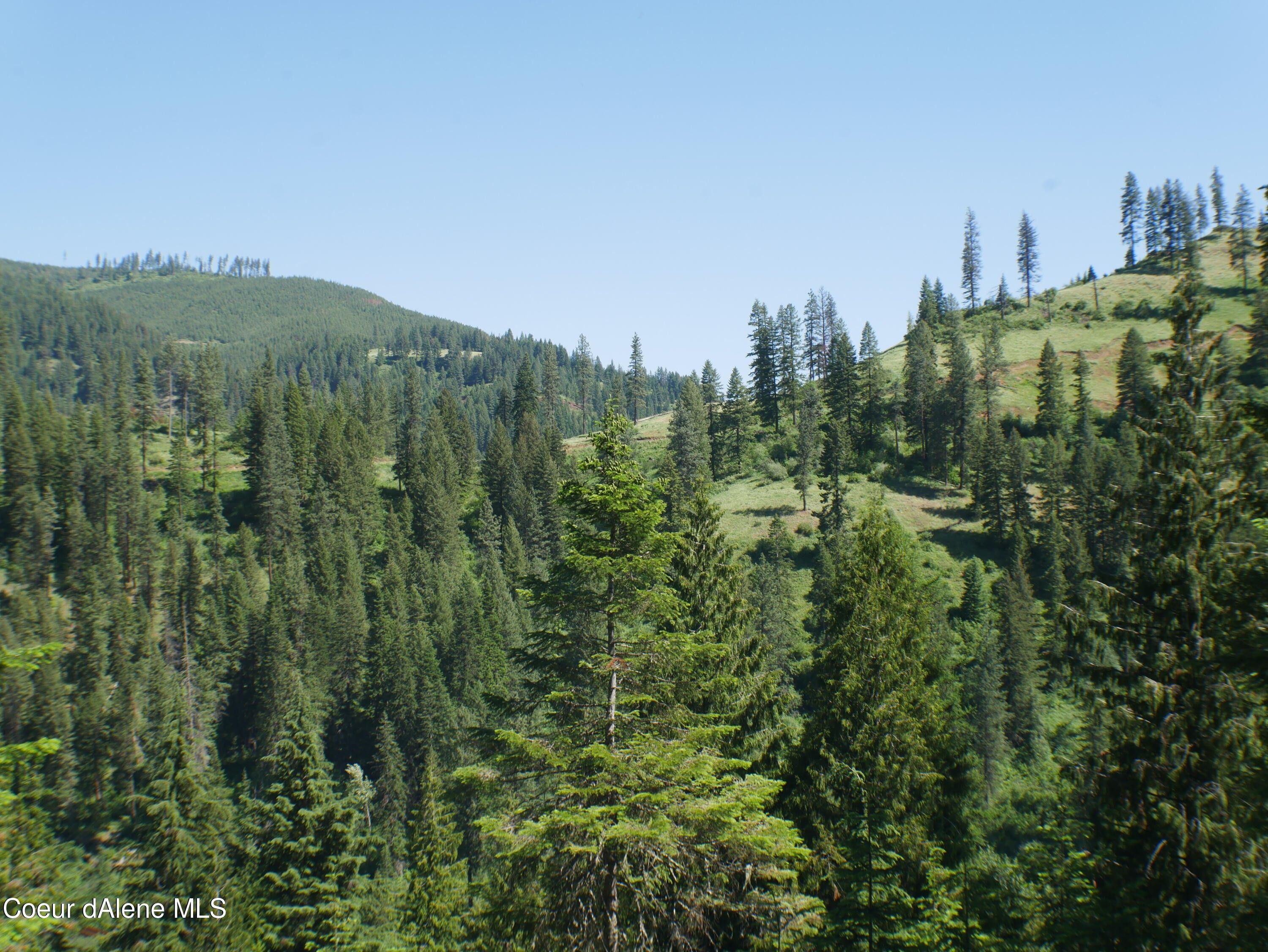 Saint Maries, Benewah County, ID Undeveloped Land, Homesites for sale ...