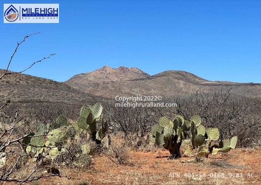 Douglas, Cochise County, AZ Recreational Property, Undeveloped Land for ...
