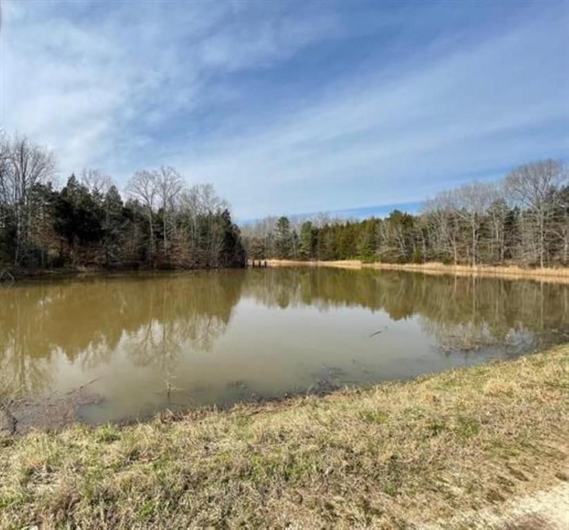 254 Hailey Road, Mercer, TN 38392 | MLS: 22292 | LandWatch