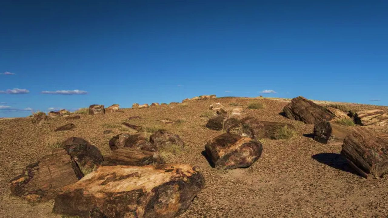 Sun Valley, Navajo County, AZ Recreational Property, Undeveloped Land ...