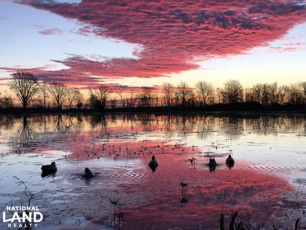 Catfish Rd Isola, MS., Isola, MS 38754 | LandWatch