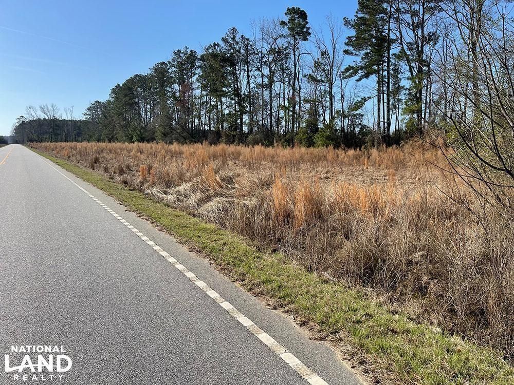 4004-4078 firetower rd., Clio, SC 29516 | LandWatch