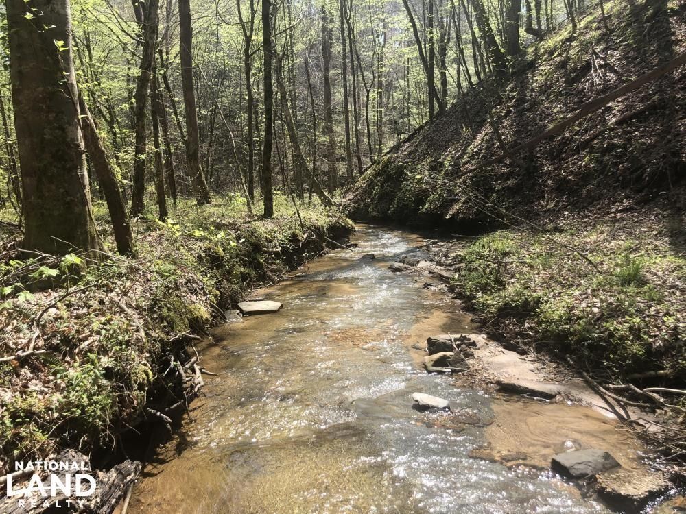 0 Deavours Hill Rd, Bankston, AL 35542 | LandWatch