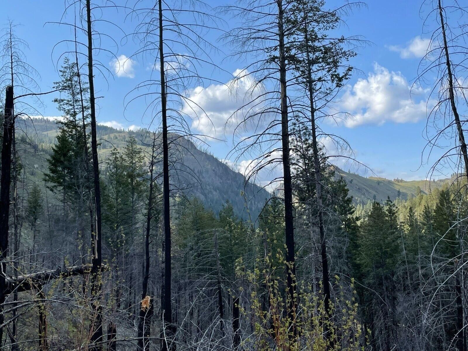 Ruby, Okanogan County, WA Recreational Property, Undeveloped Land ...