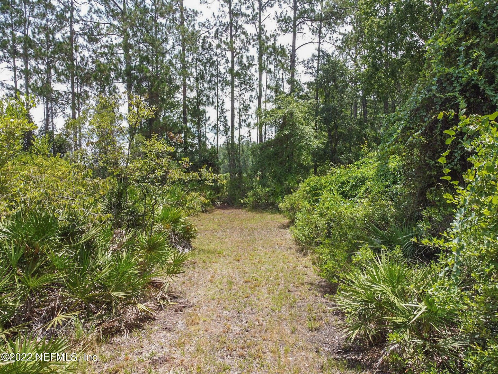 Interlachen, Putnam County, FL Undeveloped Land for sale Property ID: 414190296 | LandWatch