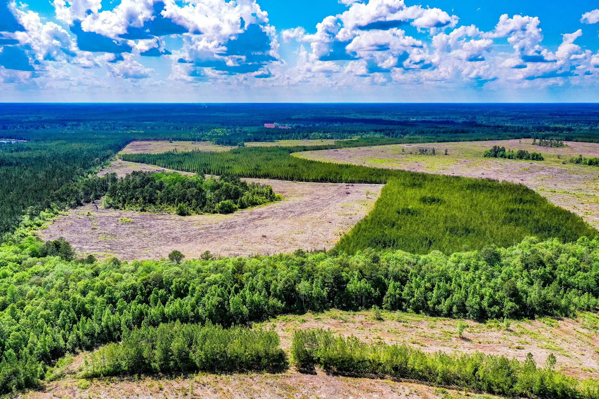 East Raybon Rd, Nahunta, GA 31566 | LandWatch