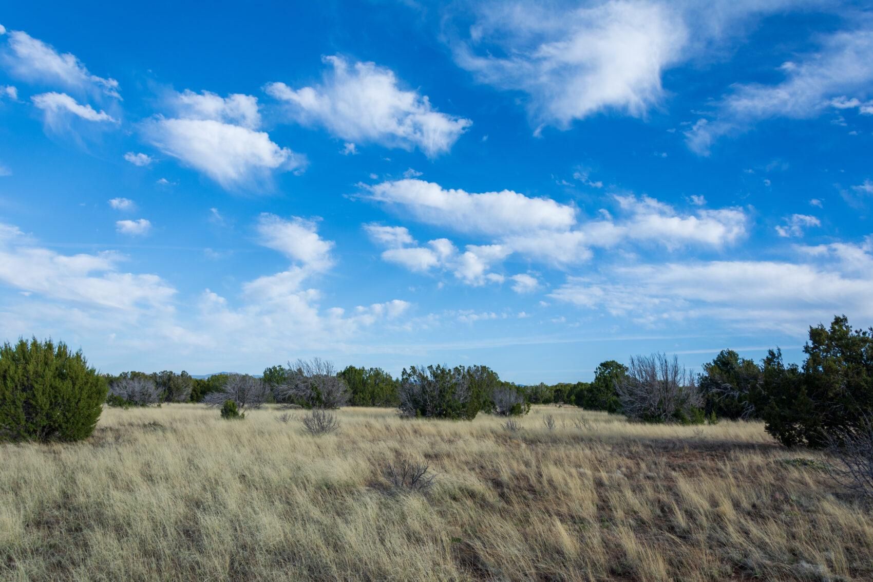 Concho, Apache County, AZ Recreational Property, Hunting Property ...