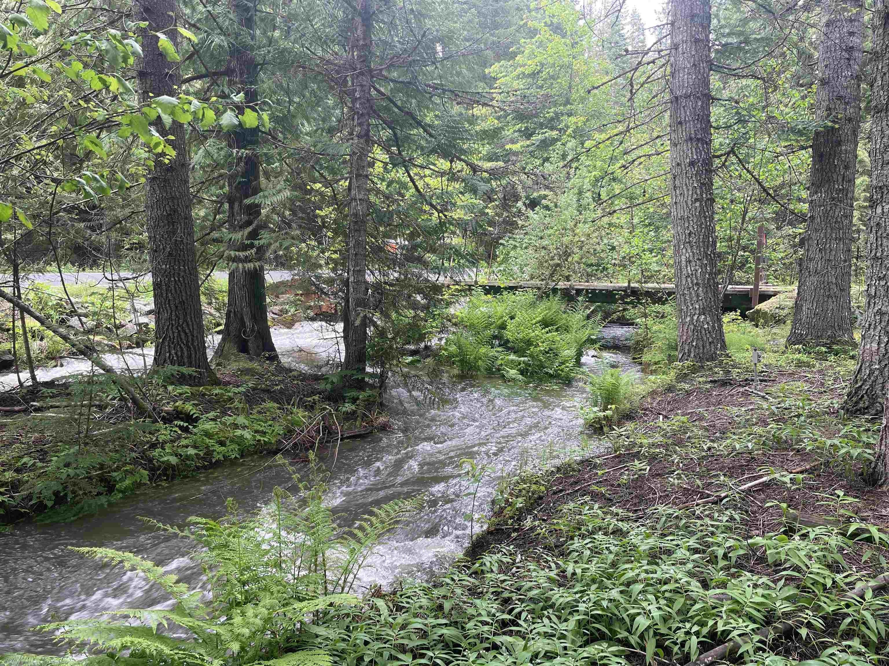 23100 N Mt Spokane Park Drive, Mead, WA 99021 | MLS: 202217835 | LandWatch