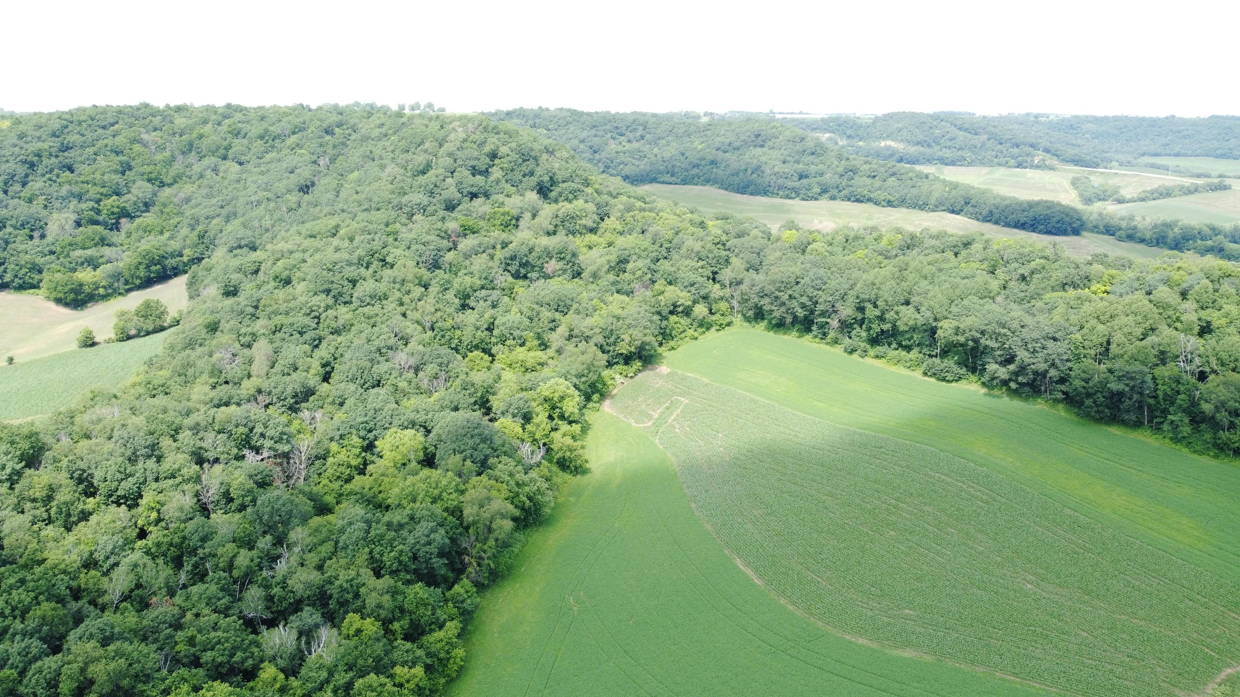 Theurer Lane, Arcadia, WI 54612 | LandWatch