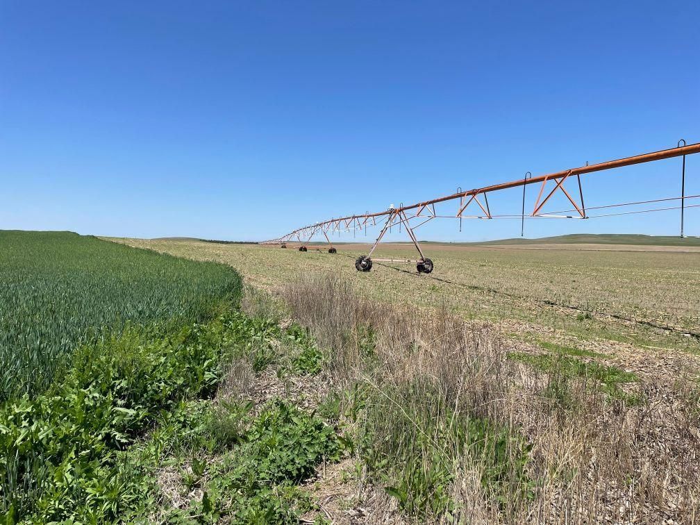 Gordon, Sheridan County, NE Farms and Ranches for sale Property ID ...