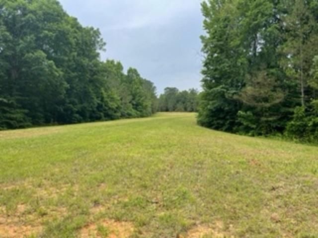 Toone, Hardeman County, TN Farms and Ranches, Recreational Property for sale Property ID ...