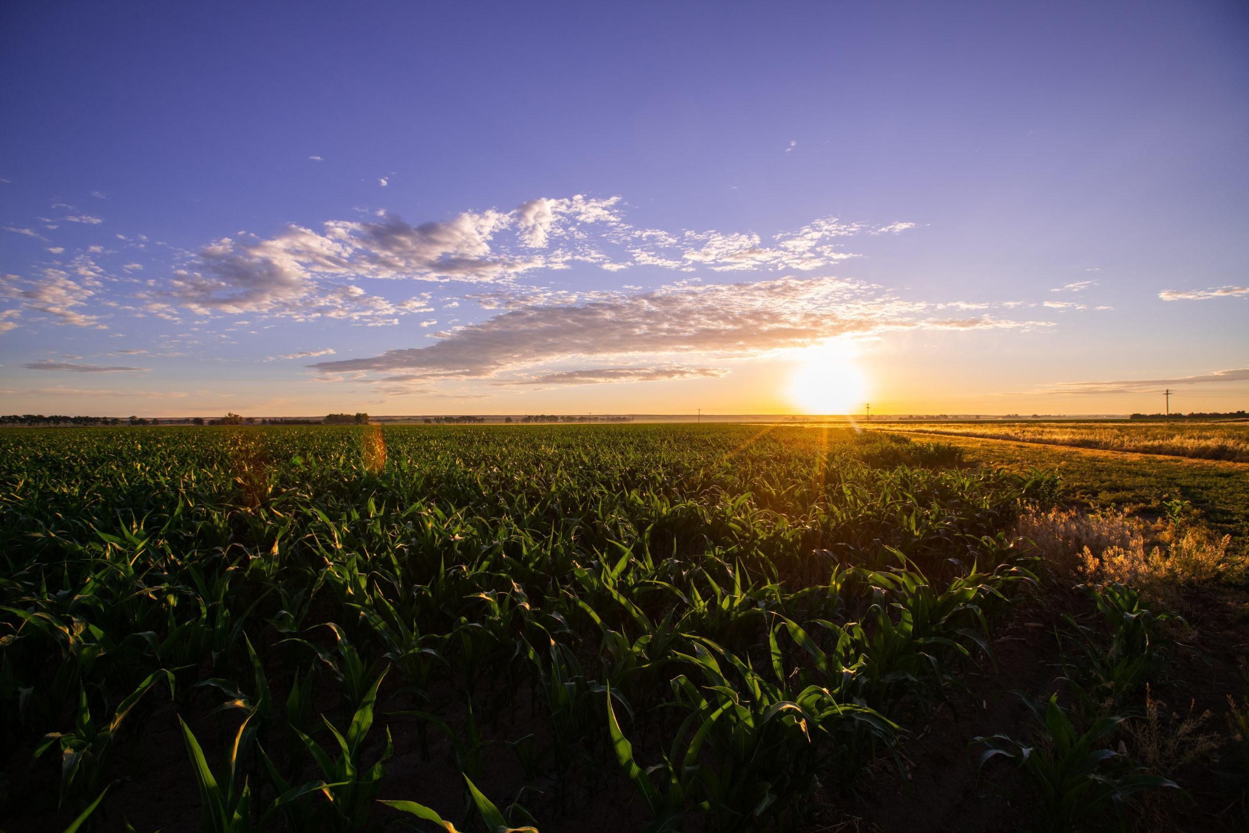 TBD Cty Rd, Mitchell, NE 69357 | LandWatch