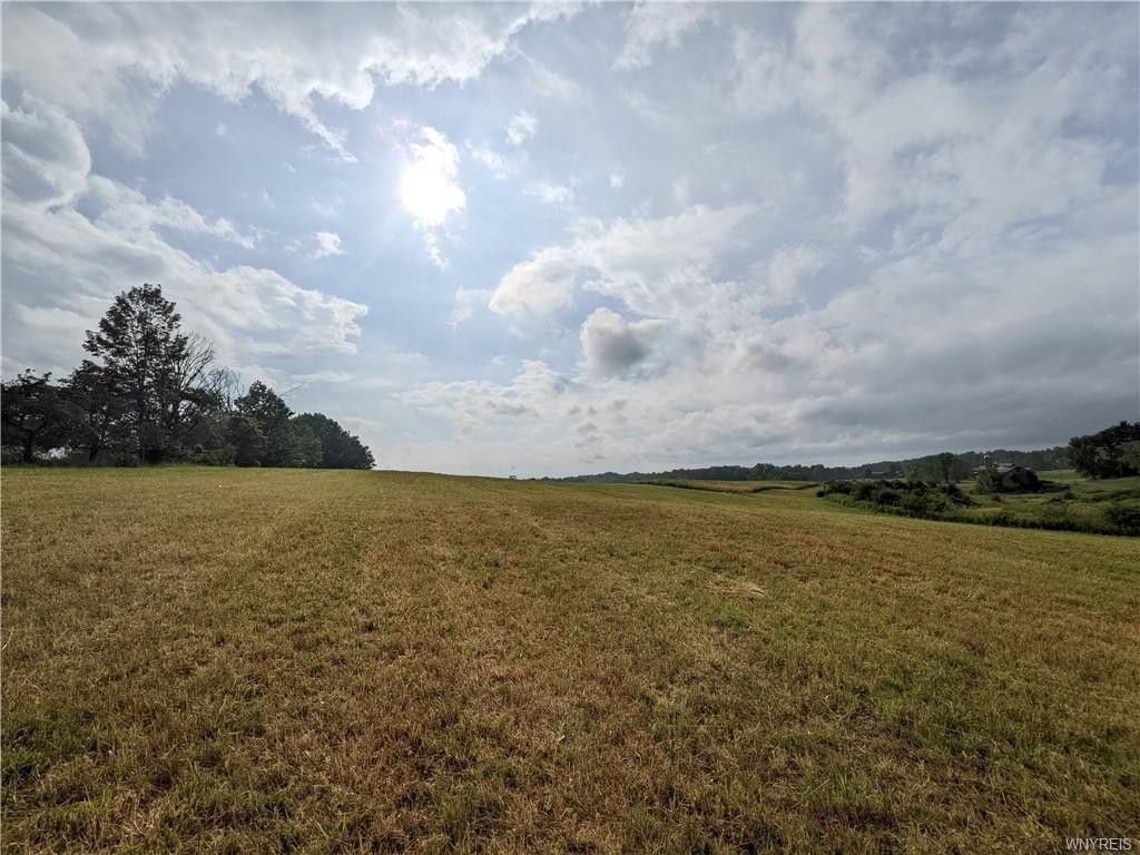 Collins, Erie County, NY Undeveloped Land for sale Property ID ...