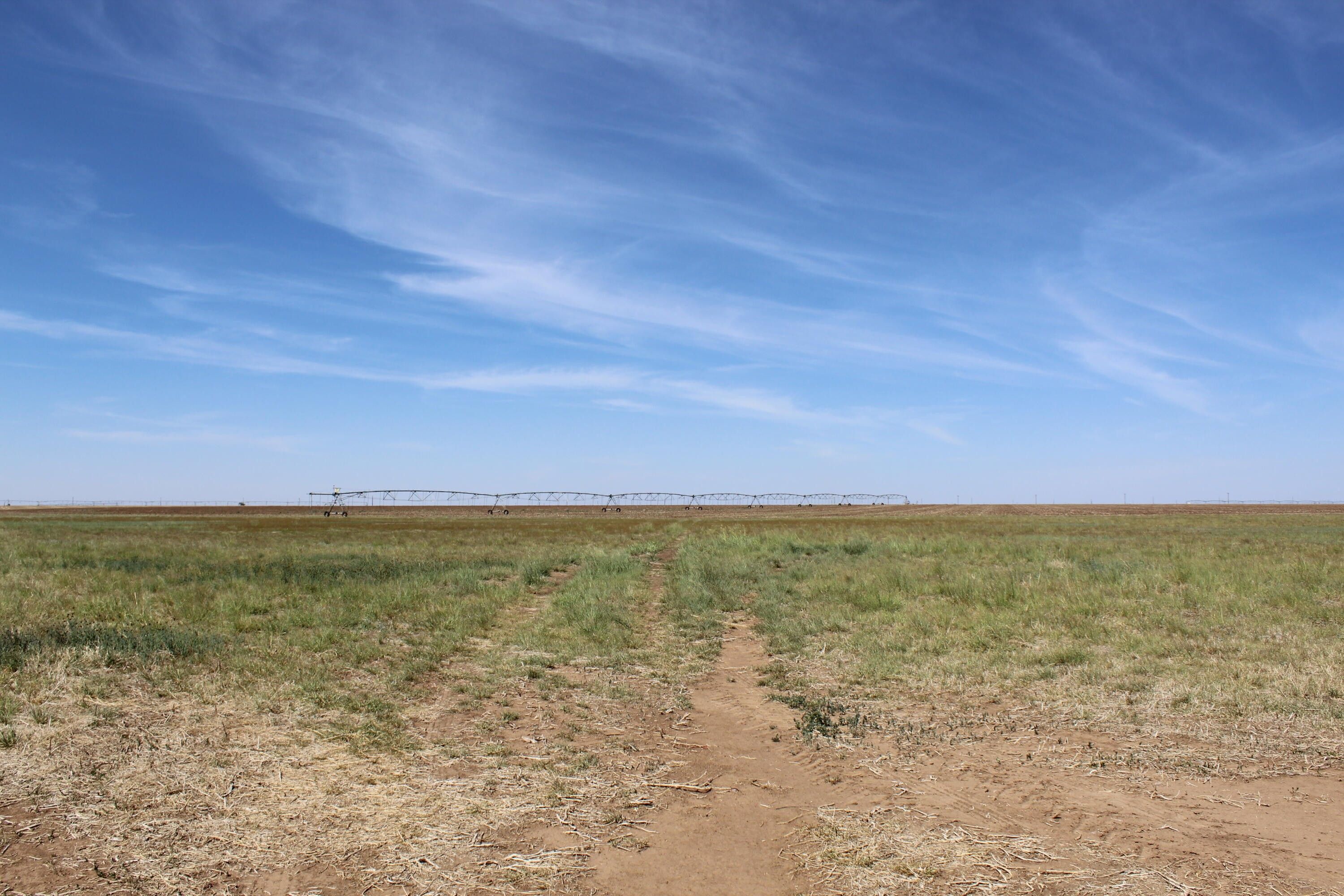 Hart, Castro County, TX Farms and Ranches for sale Property ID ...