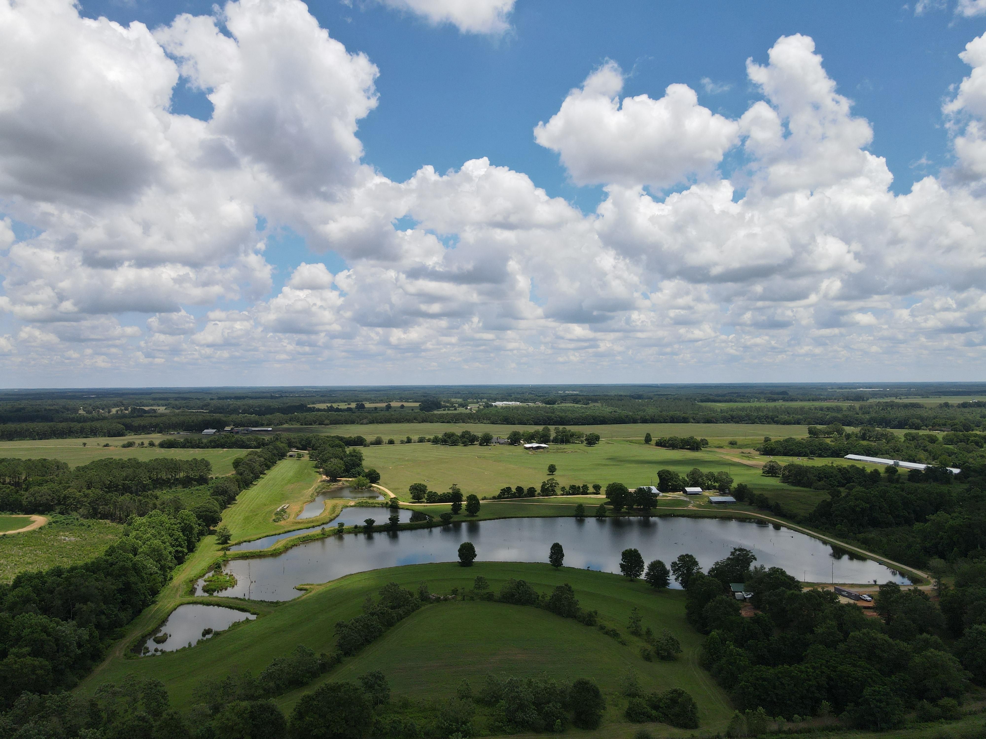 Elba, Coffee County, AL Recreational Property, Horse Property for sale ...