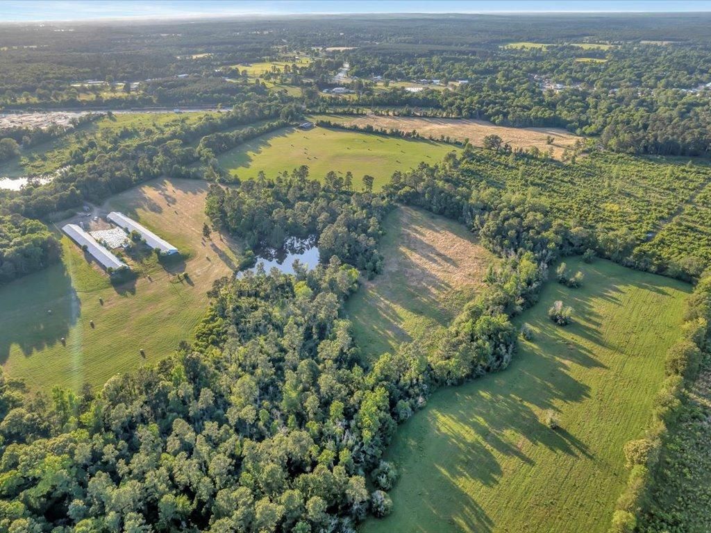 477 County Road 4789, Timpson, TX 75975 | MLS: 22200443 | LandWatch