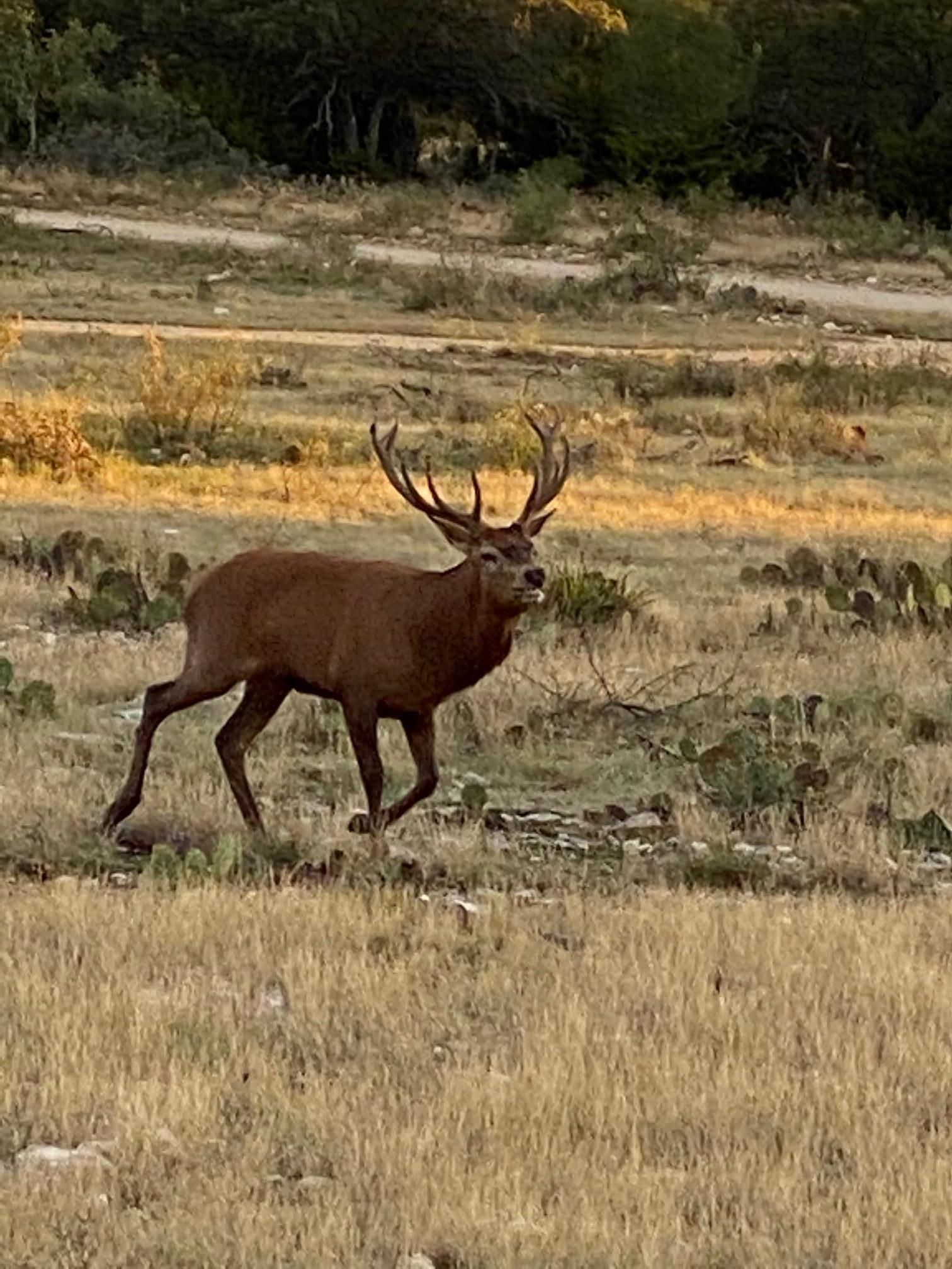 Sonora, Sutton County, TX Farms and Ranches, Hunting Property for sale ...