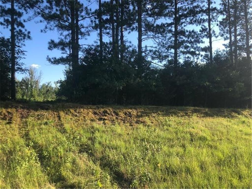 Stanchfield, Isanti County, MN Undeveloped Land for sale Property ID ...