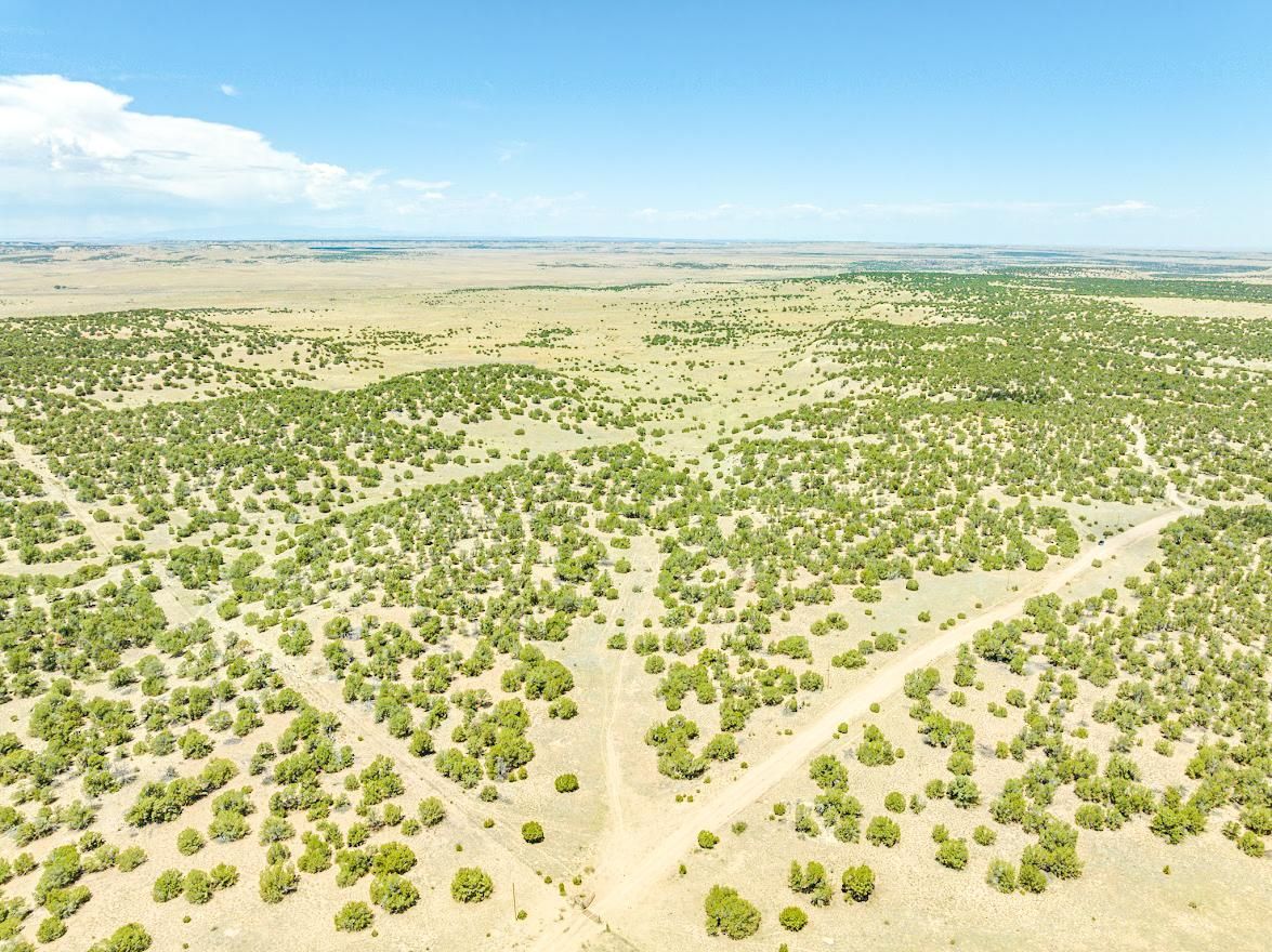 40 acres in Delhi, CO, 81059 | LandWatch