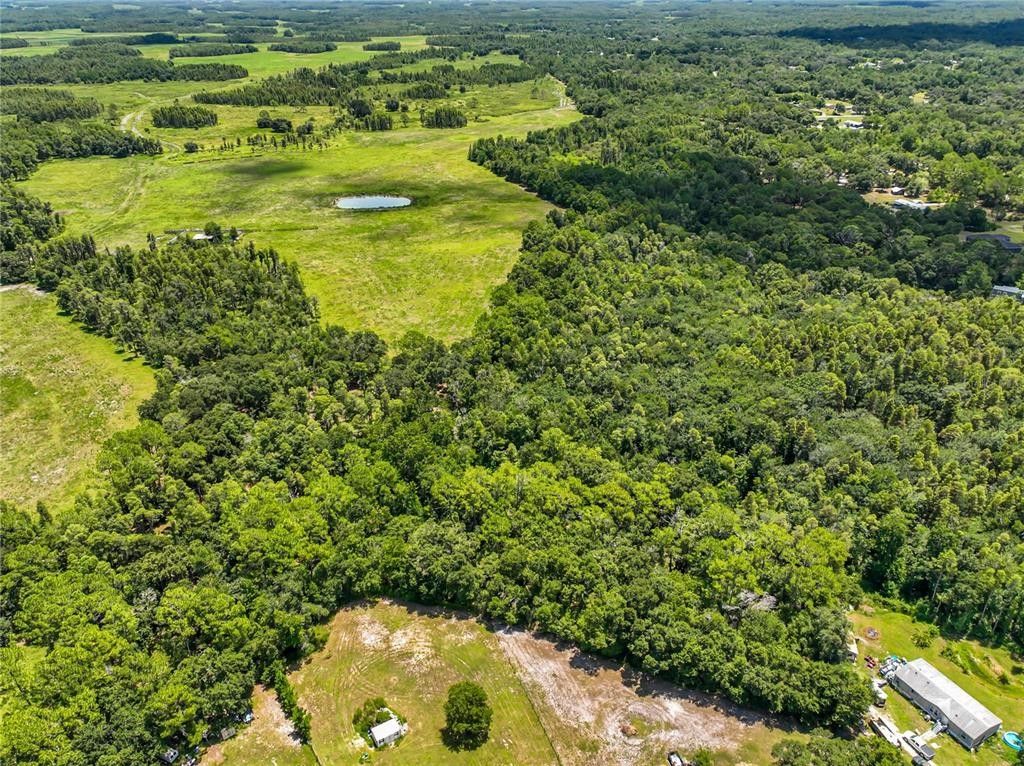 Lakeland, Polk County, FL Farms and Ranches, Lakefront Property ...