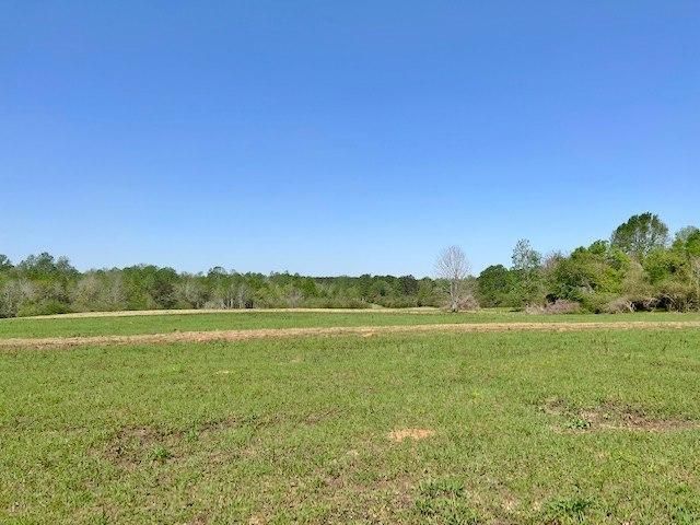 Tylertown, Walthall County, MS Farms and Ranches, Undeveloped Land for ...