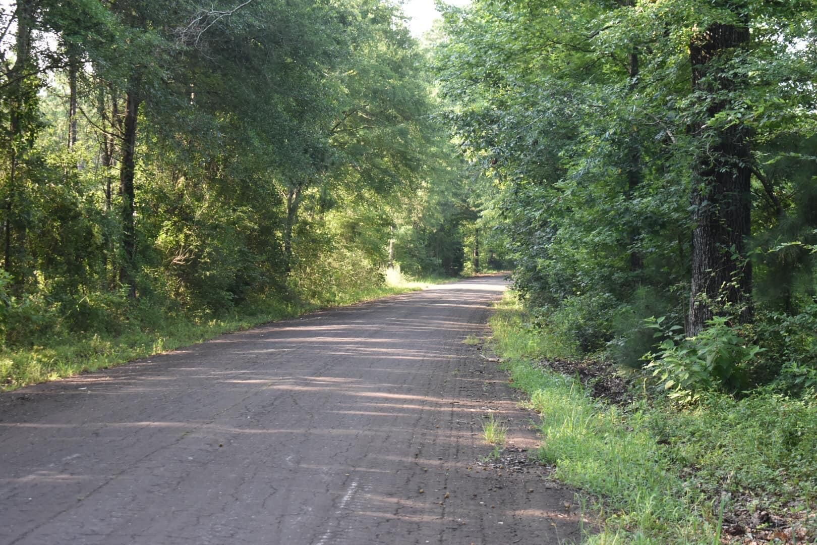 4.39 acres in Laneville, TX, 75667 | LandWatch