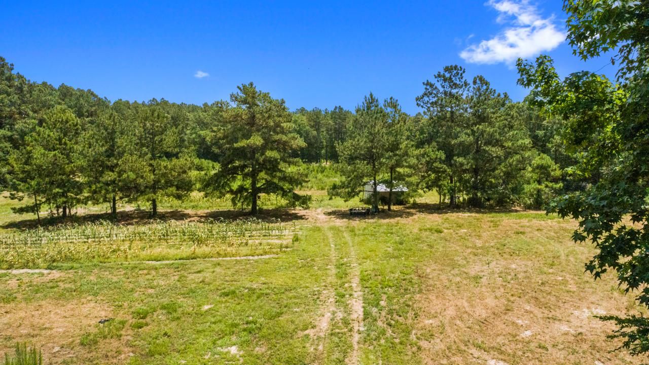 5685 Peavy Switch Road, Lufkin, TX 75904 | MLS: 65888 | LandWatch